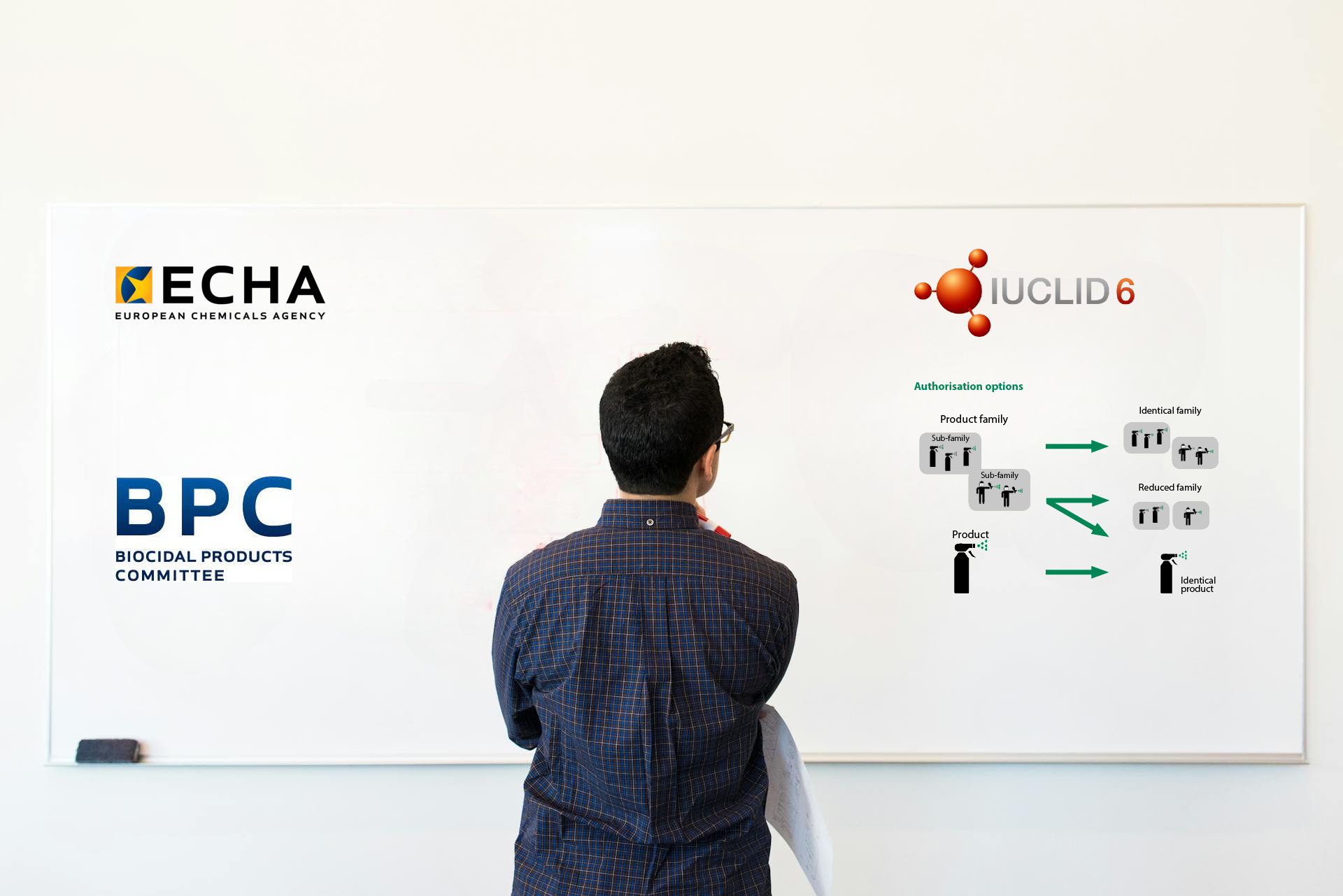 BPR Authorization Process: A Comprehensive Guide | Biocides | Nordiik